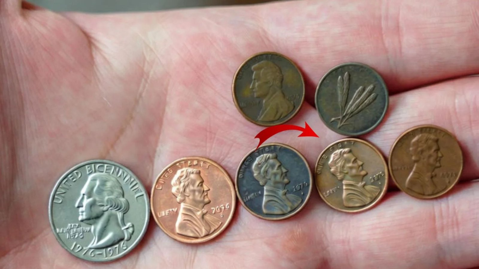 Wheat Penny Values Over the Past 10 Years – Collector’s Dream Guide ...